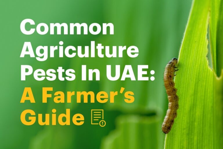 Common Agriculture Pests in the UAE: A Farmer's Guide!
