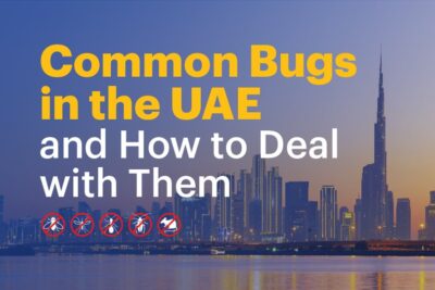 Common Bugs in the UAE: Identification & Prevention Tips%