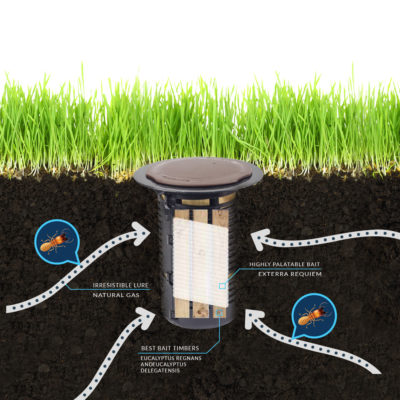 EXTERRA Above-Ground Station (AGS) Termite Interception and Colony ...