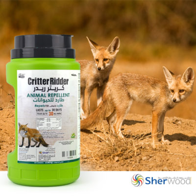 FOXOFF? 1080 Fox Baits - Sherwood Pesticide Trading