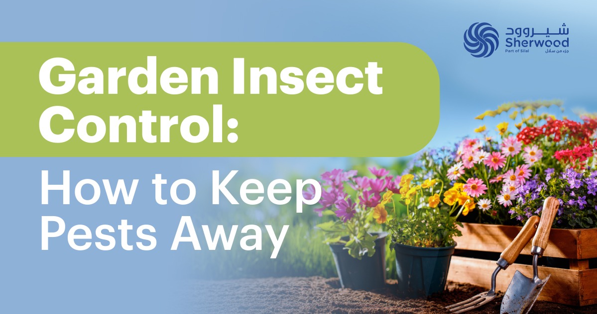 Garden Pest Control: Tips to Keep Your Garden PEST-FREE