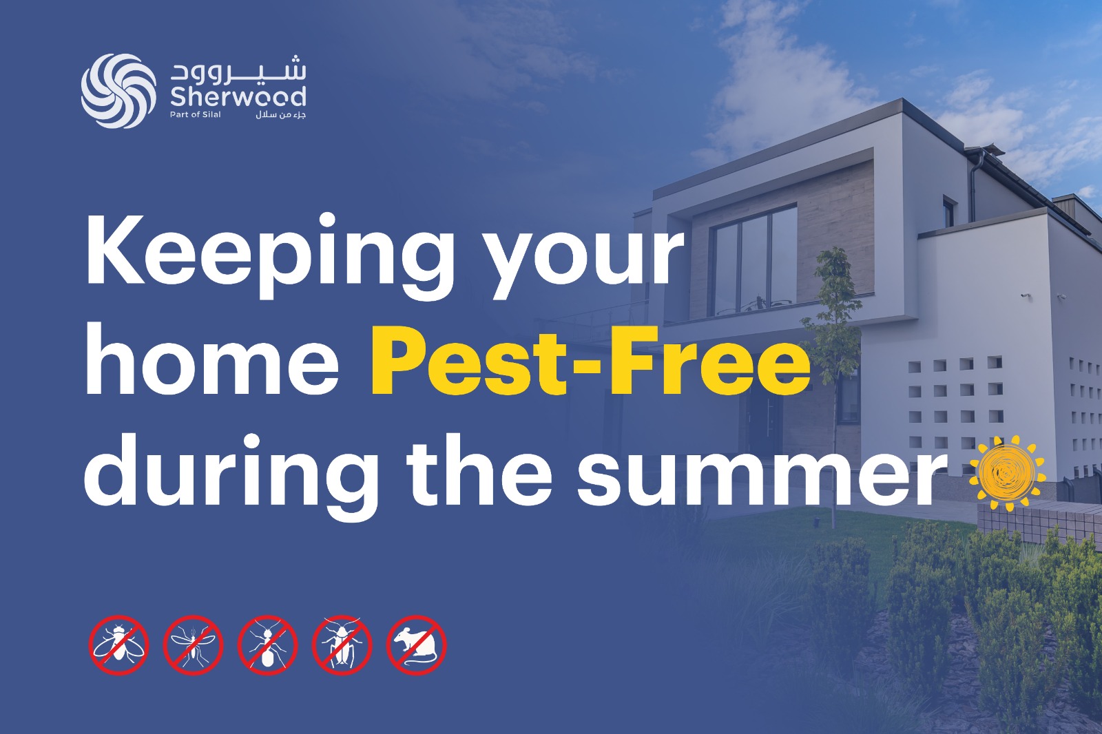 Summer Pest Control : How to Keep Your Home Safe and Pest-Free