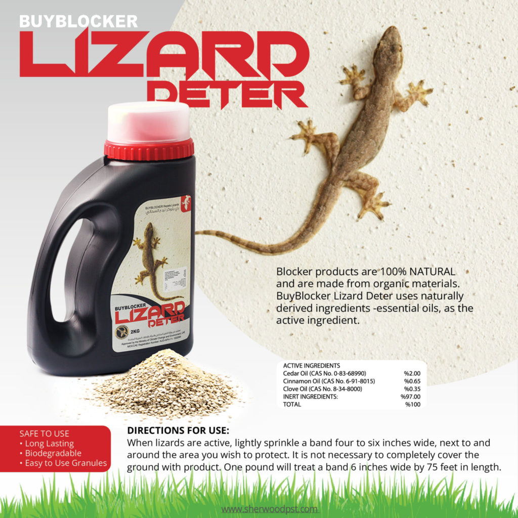 Buyblocker Lizard Deter – Sherwood Pesticide Trading