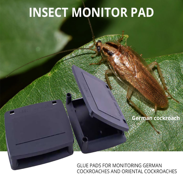Cockroach Monitoring Pad - Sherwood Pesticide Trading